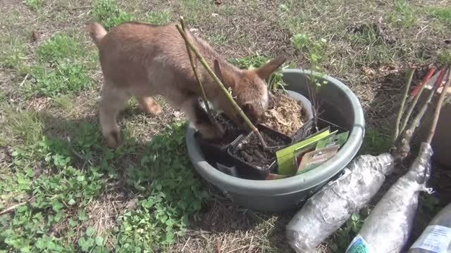 РАБОТА ПОД ТОТАЛЬНЫМ КОНТРОЛЕМ