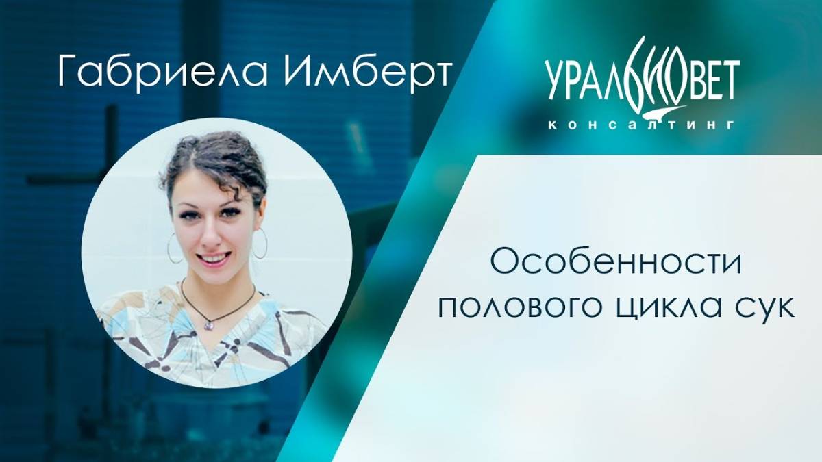 Особенности полового цикла сук, лектор Габриела Имберт #убвк_репродуктология