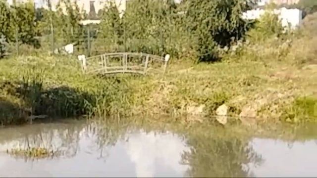 Рыбалка, возле мечети.