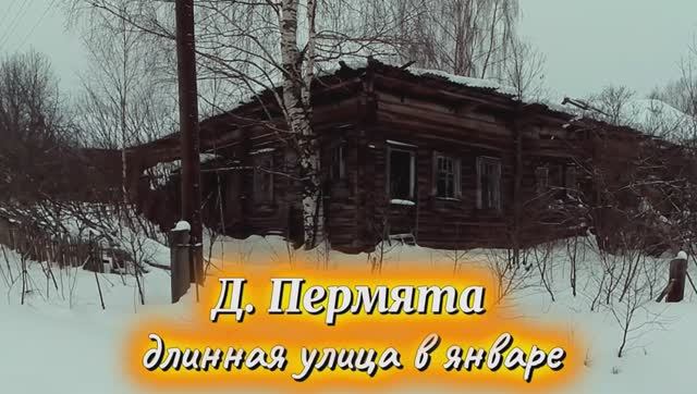Деревня Пермята, длинная улица в январе.mp4