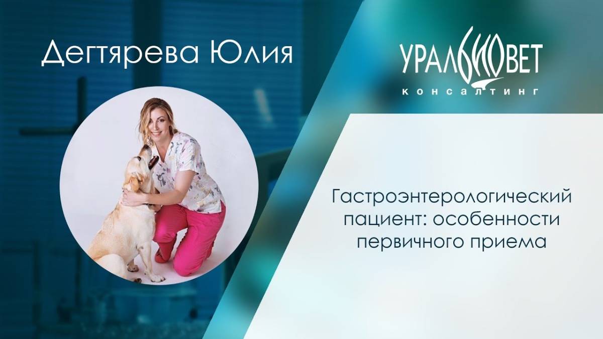Гастроэнтерологический пациент: особенности первичного приема.Дегтярева Юлия #убвк_гастроэнтерология