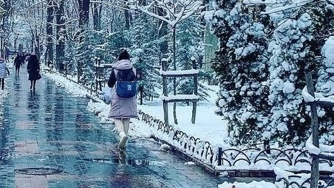 ОДЕССКИМ ВЛАЖНЫМ УТРОМ