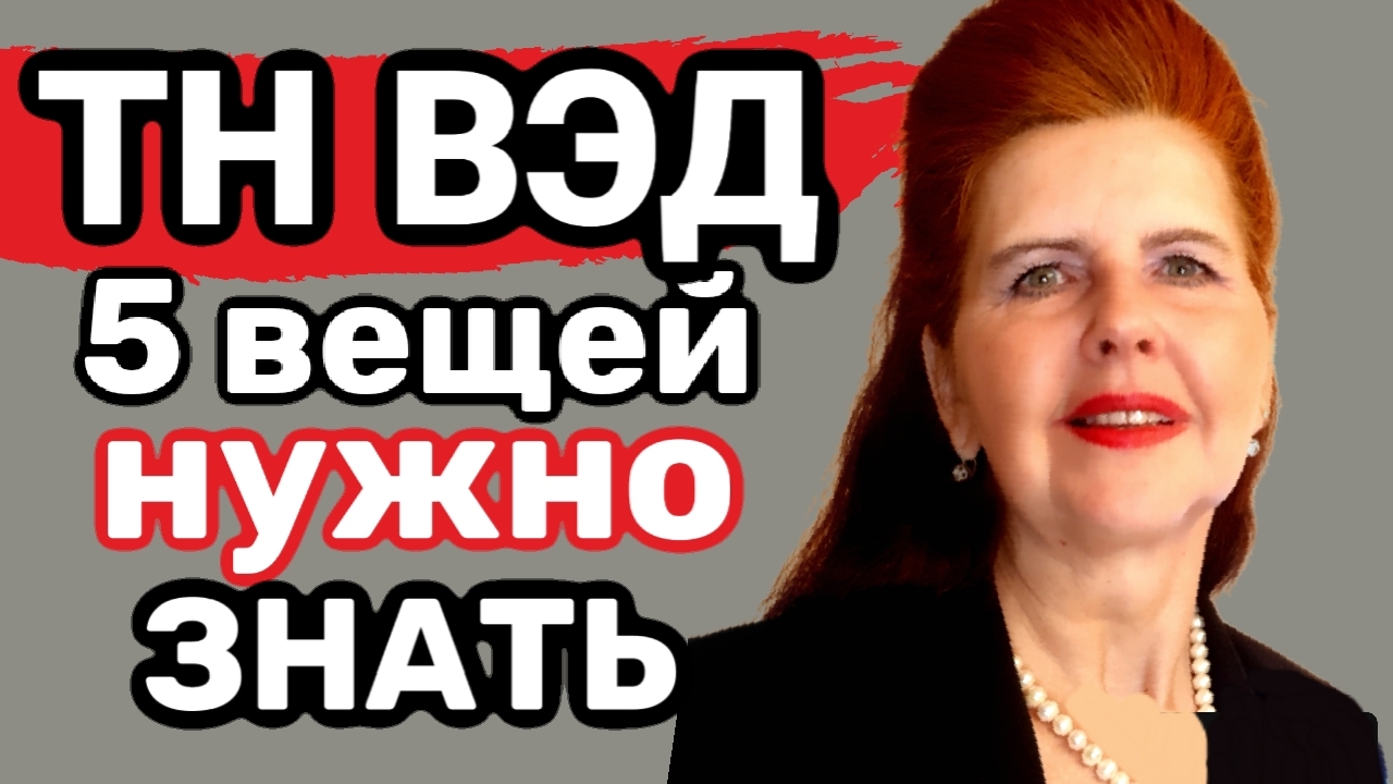 5 ВЕЩЕЙ нужно ЗНАТЬ, как ПРАВИЛЬНО определить код ТН ВЭД на ФОНТАН для КОШЕК, Поилка#HScode #ТНВЭД