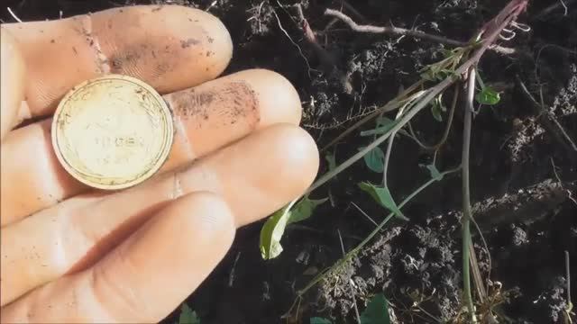 УДАЧНЫЙ ВЫЕЗД НА СТАРОЕ УРОЧИЩЕ Коп 2024 Minelab X Terra 705