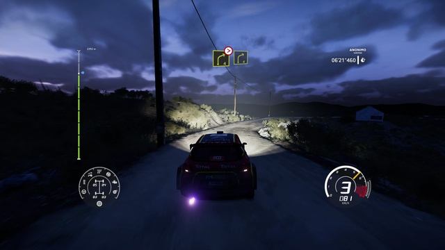 WRC 8. 
Vodafone Rally de Portugal. Day 2. Amarante reverse  / Ралли Португалии.