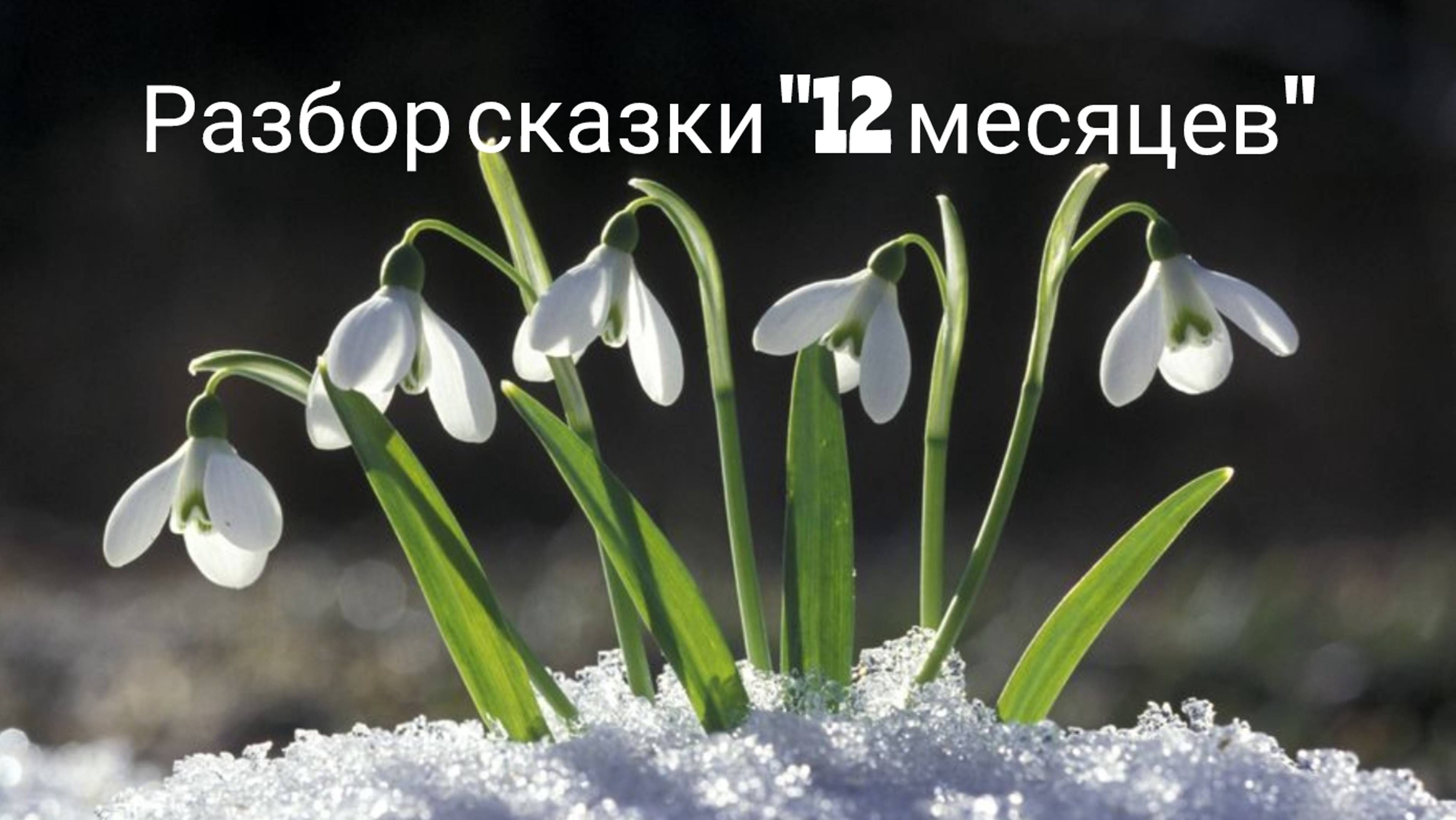 Разбор сказки "12 месяцев" #психология #осознанность