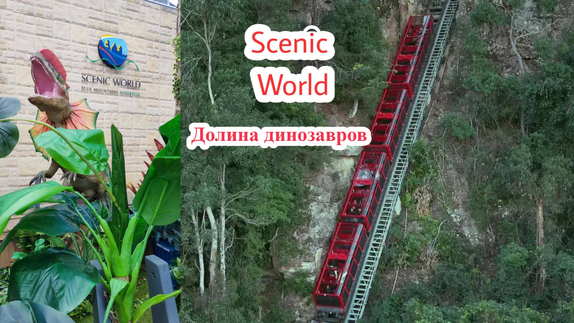 Австралия Живописный Мир Блю Маунтинс
Scenic World Blue Mountains Australia