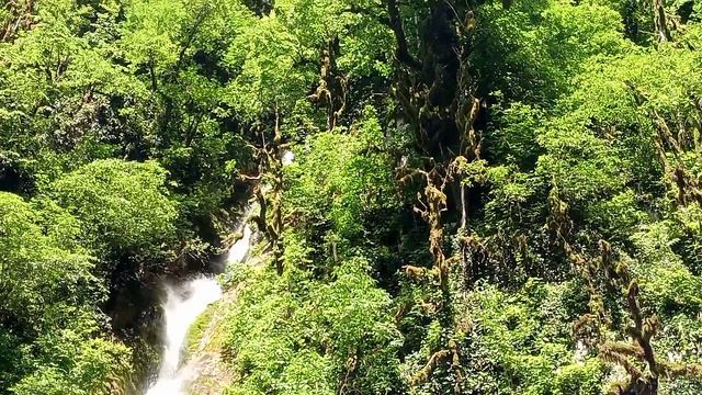 Что посмотреть в Абхазии –  Водопад Мужские слезы