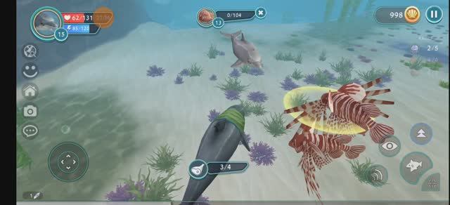 Wild craft 15 серия дельфин беременнен