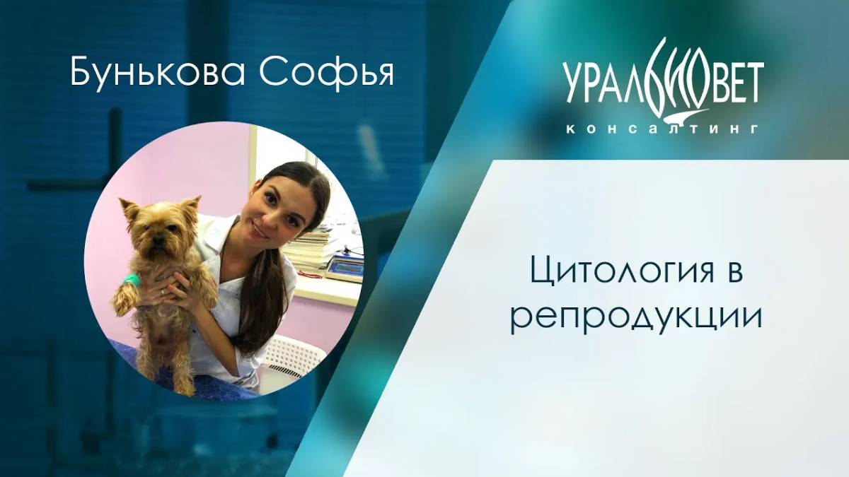 Цитология в репродукции. Софья Бунькова #убвк_репродуктология #убвк_цитология