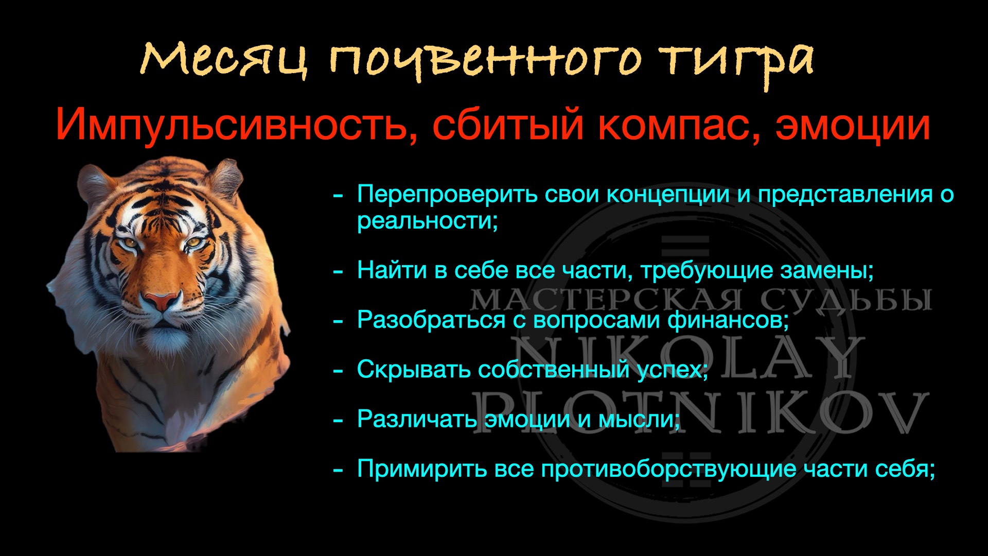 Прогноз на месяц почвенного тигра (февраль 2025)