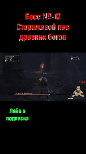 Bloodborne Пес древних богов #shorts #боссфайт #bloodborne #bloodborneпрохождение #блодборн