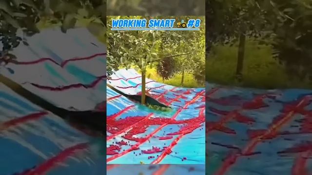 Work smart, not hard👷#work #workers #construction #creative #smart #viralvideo #shorts #job