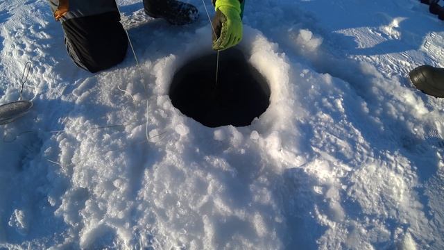 Ловля краба зимой в Охотском море, залив Мордвинова 2021г.