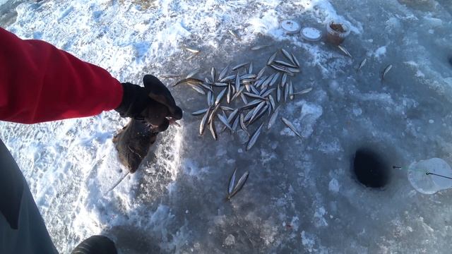 Открытие зимнего сезона на озере Тунайча. Декабрь 2020г.