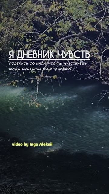 Дневник чувств ( diary of feelings )
