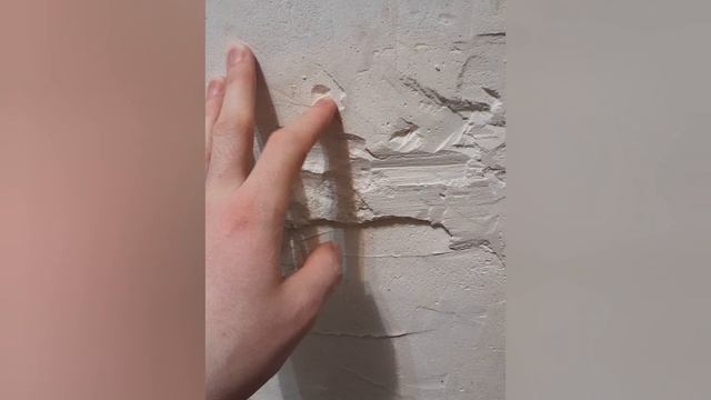 Моя борьба с плесенью.