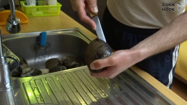 Копаем и чистим ракушку