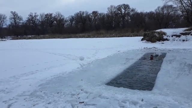 🐶❄️❄️❄️Закаливание 🐶🧊🧊🧊 🦭Моржевание 🐶❄️❄️❄️