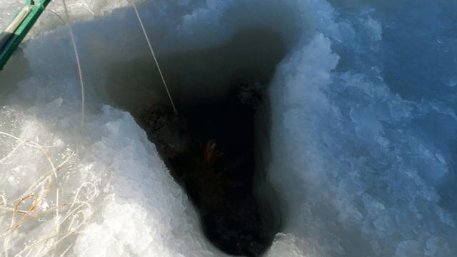 Краб ГИГАНТ!!! Ловля краба в Охотском море. Сахалин 2022 год. Съёмка дроном.