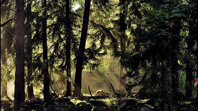 Авдотья Рязаночка