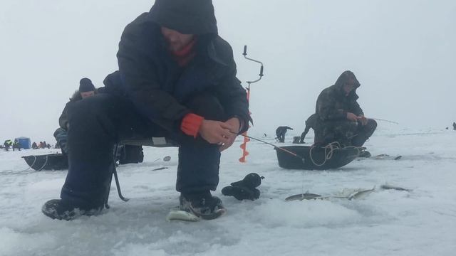 ЗУБАРЬ 2022 год НАЧАЛО