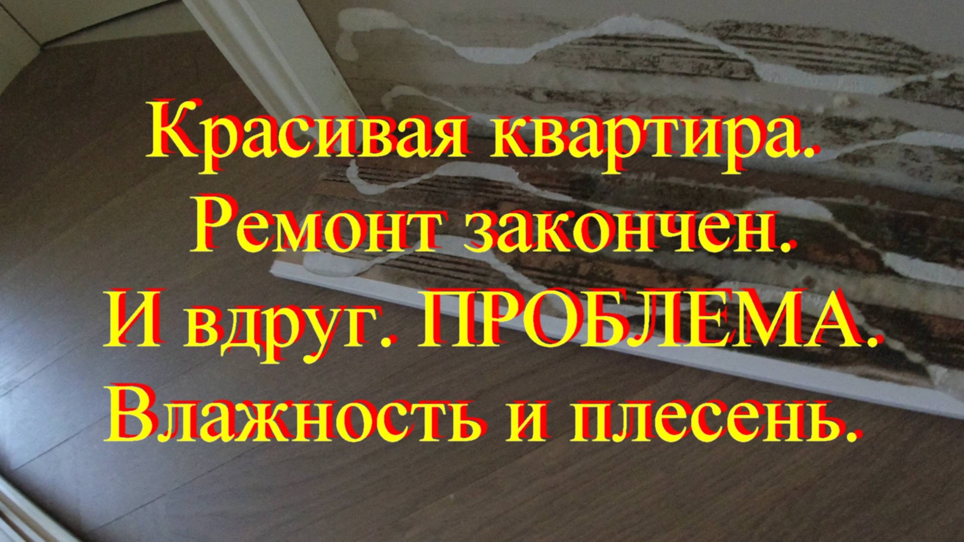 Влажность стен в красивой квартире.