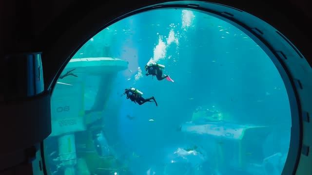 ОАЭ, Абу-Даби, SeaWorld Abu Dhabi, Бесконечный океан