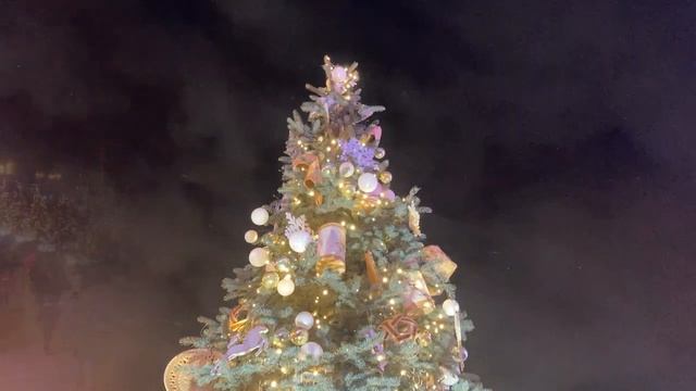 Новый год в Москве - ВДНХ (1 января 2024)