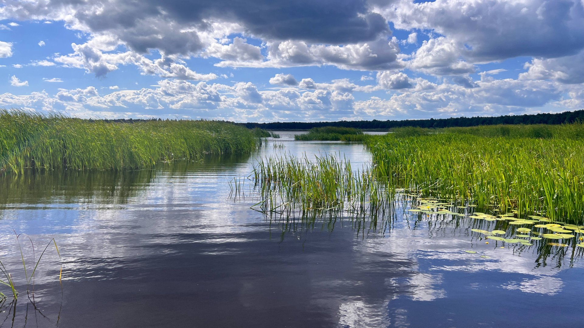 Сплав на сапбордах от Луха до Талиц, Часть 4-я. От Мыта до озера Шадрино