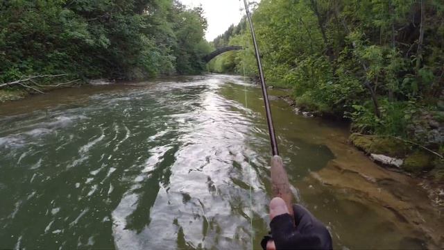 Сима под ГОРБАТЫМ мостом