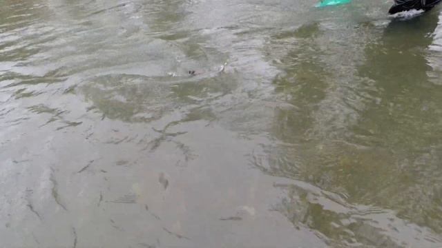 И снова СИМА 2022г.