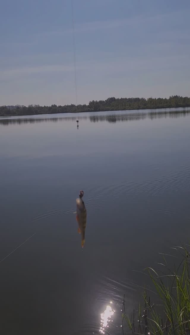 "Монстр"елло!