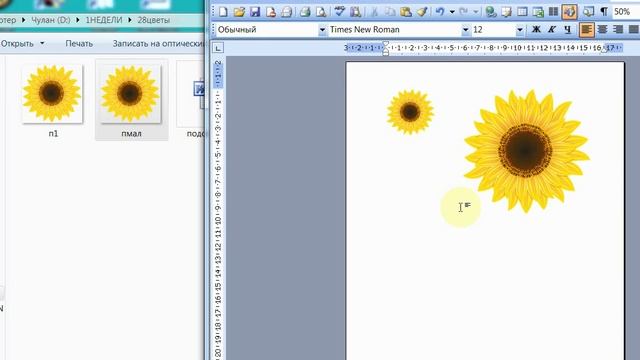 урок1. Картинки