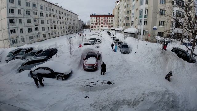 Сахалинская несколько дневная МЕТЕЛЬ.