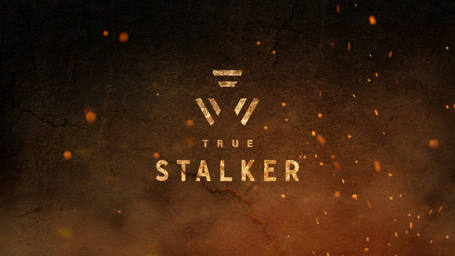 МОЕ ПРОХОЖДЕНИЯ КОРДОН S.T.A.L.K.E.R - True Stalker 1#