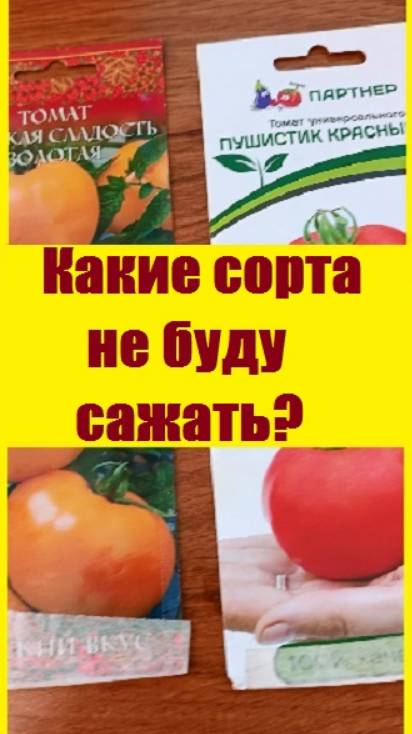 РАЗОЧАРОВАНИЯ ПРОШЛОГО ОГОРОДНОГО СЕЗОНА - какие помидоры больше не буду выращивать?