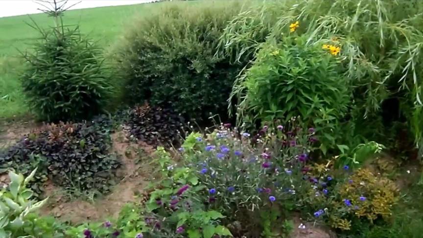 ЗА ВОРОТАМИ МОЕЙ ДАЧИ. СЕЛО ТАЛЕЖ МОСКОВСКОЙ ОБЛАСТИ.