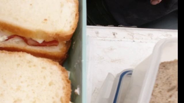 Открытие навигации 2022 г. Рыбалка на камбалу.