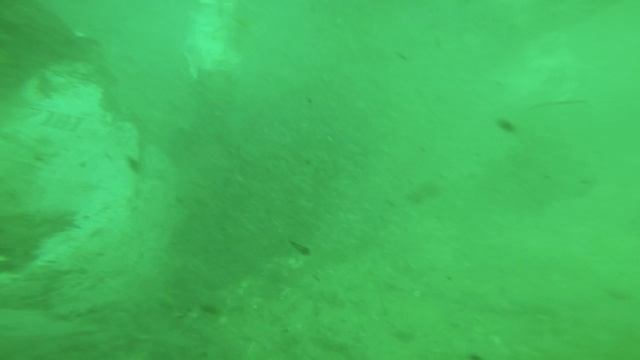 Вот так у пирса в Анапе подняли сети для сбора мазута