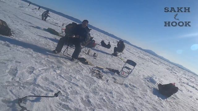 Открытие сезона по зубарю