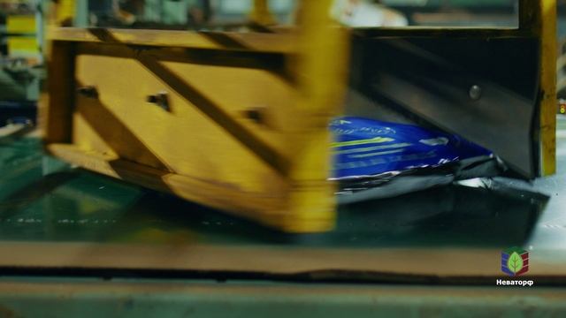 НЕВАТОРФ 2024 (1 мин)