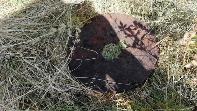 Часть 2. Разведка не подвела. Рядом с деревней и не копанное место