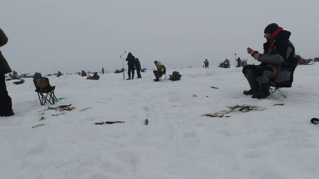 Закрытие сезона ЗУБАРЯ 2022, ЖОР!!!