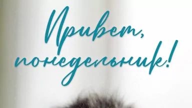 понедельник 2025 с #котятами #понедельник