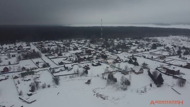 Лесная сходка, неожиданно..