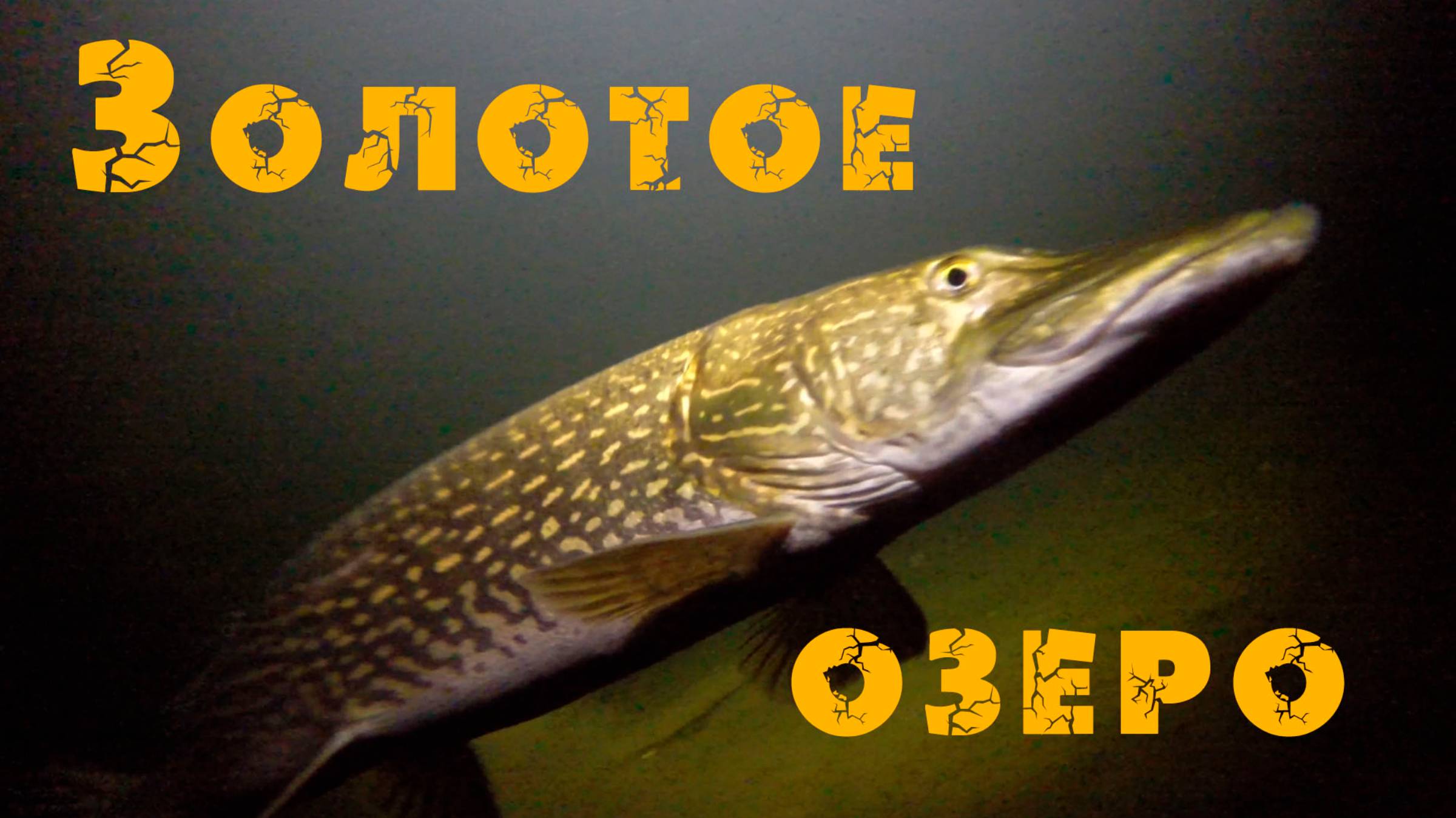 Золотое озеро Телецкое. Алтайский заповедник. 500 летние кедры-великаны. Подводный мир. Горный Алтай