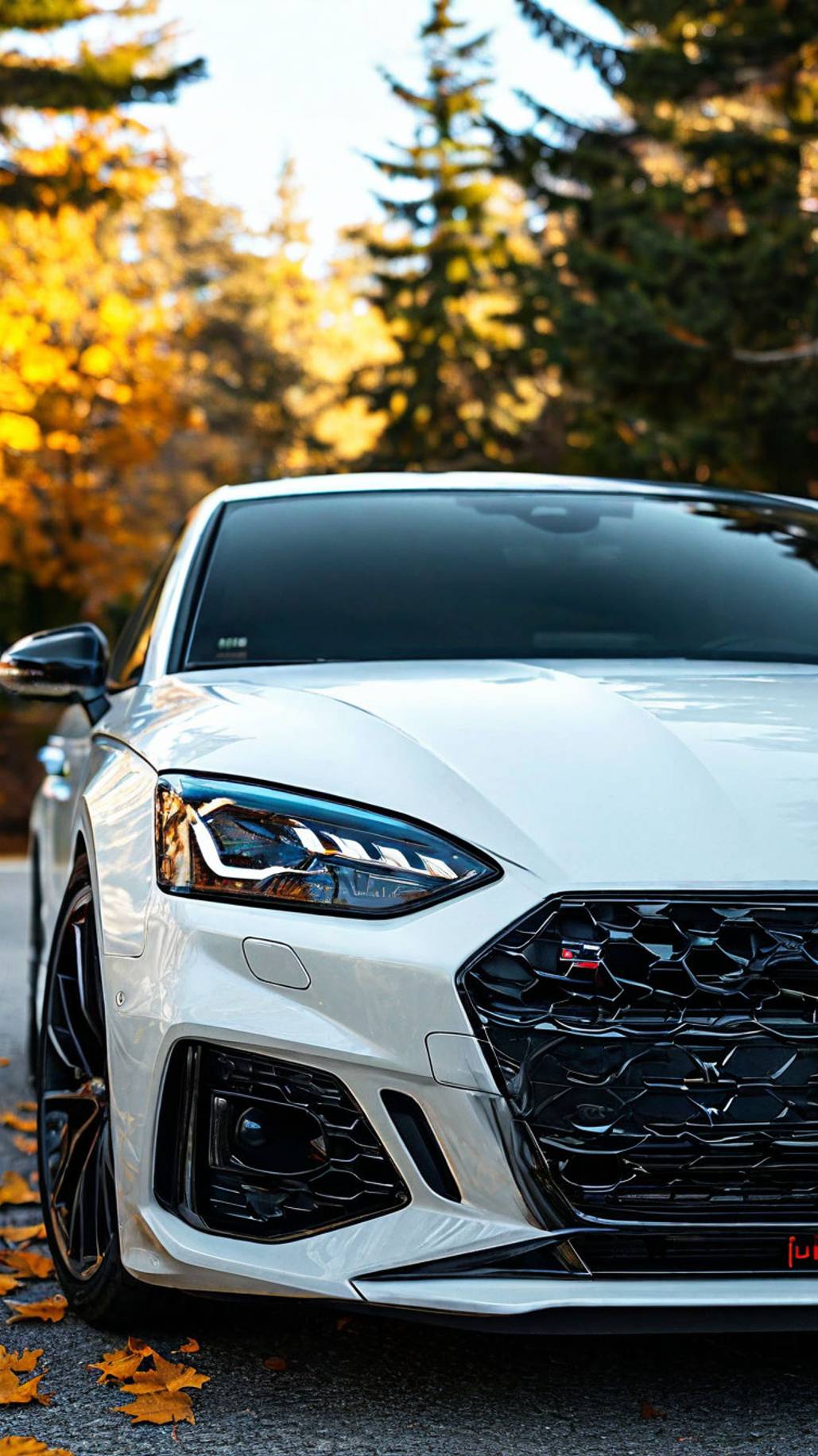 Защита радиатора автомобиля - ставить или нет