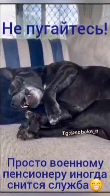 Приснится же такое