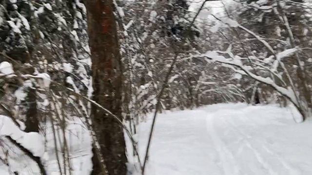 Зима в Подмосковье (2024)